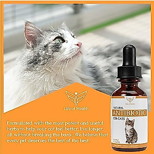 Life of Health Natural Antibiotics for Cats - Cat Antibiotics - Cat Antibiotic - Pet Antibiotics - Cat Immune Support - Antibiotic for Cats - Cat Multivitamin - Cat UTI Antibiotics -