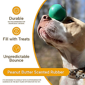4BF Crazy Bounce, Natural Rubber Dog Ball, Dog Treat Dispenser, Durable & Interactive Dog Toys, Fillable Dog Fetch Ball, Peanut Butter-Scented Rubber Balls for Dogs, Aqua, Size L