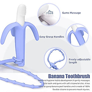 SHARE&CARE Baby Teething Toys for Girls and Natural Organic Fruit Feeder Pacifier/Baby Teether Chew Toys Fresh Food Feeder/ 1 Teethers and 1 Feeder with 3 Silicone Sacs(Purple)