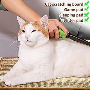 4 Pcs Cat Scratch Mat Sisal Cat Scratching Pad Mat for Cats Scratching Pad Rug for Cat Grinding Claws and Carpets Sofa Couch Furniture Door Protector, Light Brown, 15.7 x 12 Inch