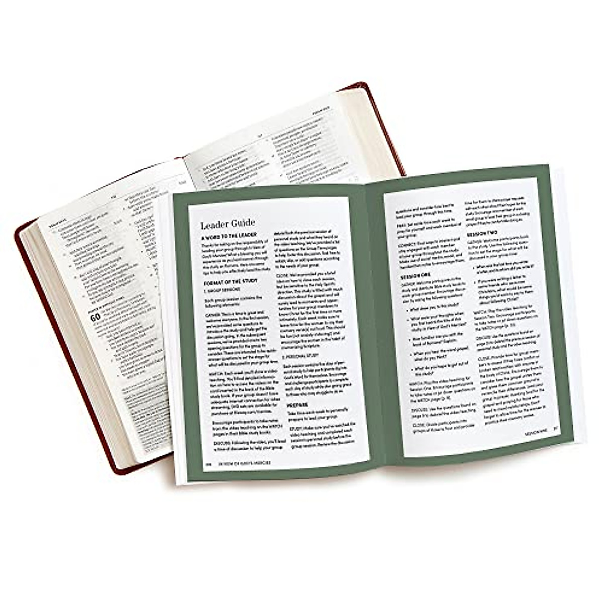 In View of God's Mercies - Bible Study Book with Video Access: The Gift of the Gospel in Romans