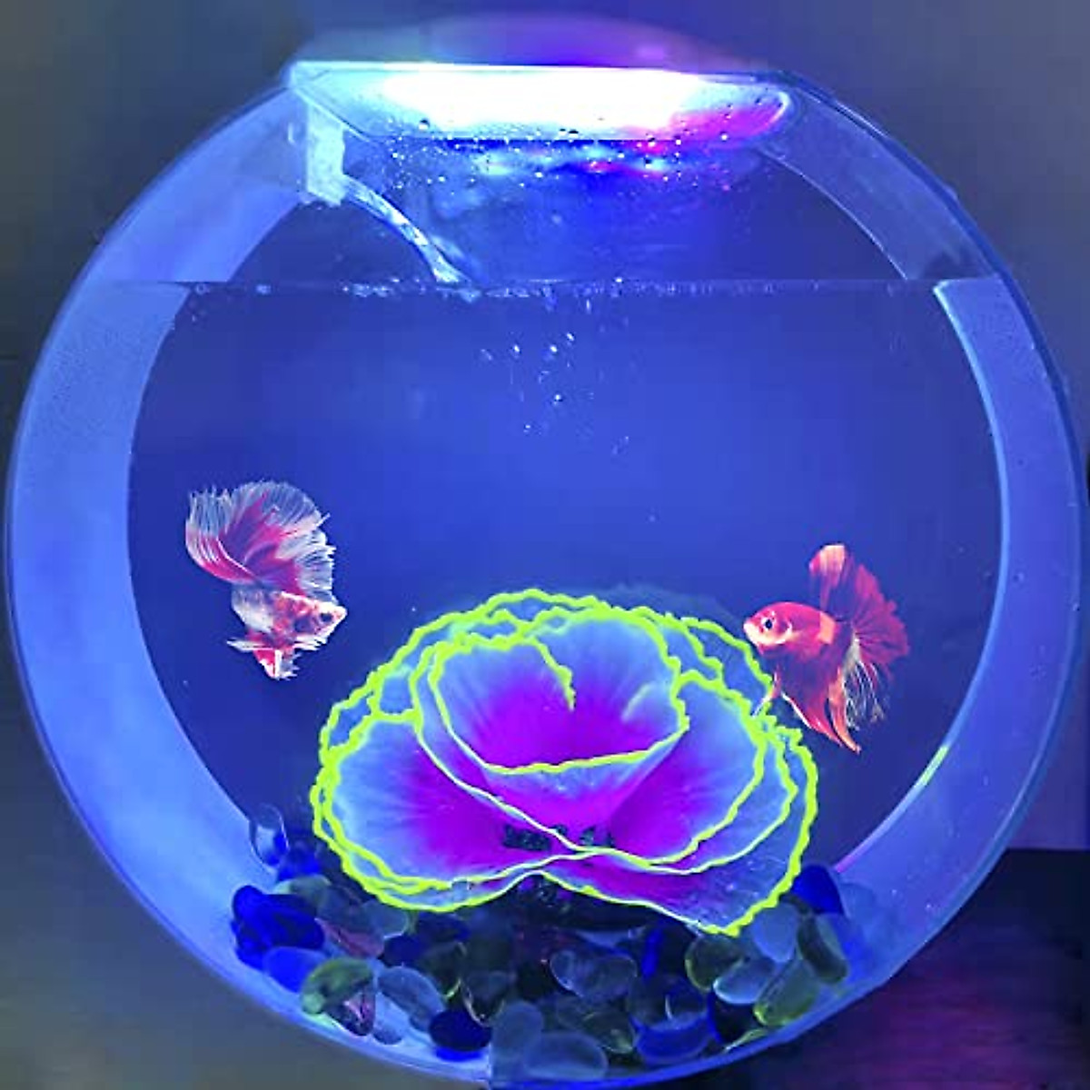 Livfodrm Aquarium Decorations Fish Tank Decor Glowing Coral Ornaments, 1pc Purple Silicone Flower Plants and 10pcs Sea Shells/Stone Glow in The Dark Large Fish Tank Accessories