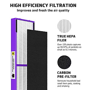 FLT4850PT HEPA Filter B Fresh Pet Replacement Compatible with Guardian Models AC4850, AC4825, AC4870, CDAP4500, AC4900, AC4300, AP2200, FLT4850PT, Violet, 2-Pack