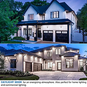 MorningLight 6 Pack A15 LED Bulbs 60W Equivalent, Non-Dimmable, Daylight 5000K, E26 Base, 6.5W 600 Lumens Bulb, A15 LED Light Bulbs for Ceiling Fan, Wall sconces, 25000+ Hours Lifespan