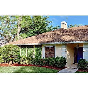 DOEWORKS Expandable Fence Privacy Screen for Balcony Patio Outdoor, 2PCS Faux Ivy Fencing Panel for Backdrop Garden Backyard Home Decorations