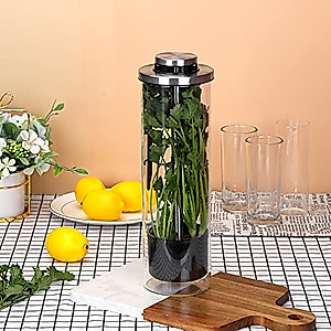 JUXYES Fresh Herb Keeper Saver Asparagus Container Pod, Fresh Herb Keeper Container Herb Storage Container for Cilantro, Mint, Parsley, Asparagus, Keep Greens Fresh, Glass Material, 12.6" Height