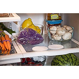 Lansinoh Therapearl 3-in-1 Breast Therapy Breast Pads Hot & Cold 2 pack - Breast Feeding Essentials Reusable Gel Cooling Pads - Postpartum Essentials Breastfeeding Compress Hospital Bag Mum Essentials