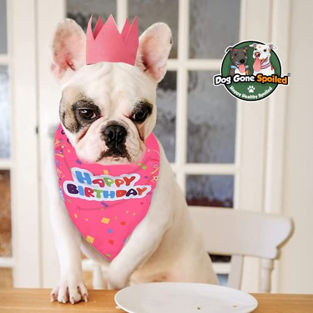 DOG GONE SPOILED Dog Birthday Bandana (Pink, Happy Birthday)