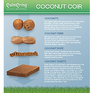 NATURAL LIFE PALMPRING Cambay Twin Mattress - Organic Coconut Coir 8” Extra Firm 1 Layer Comfortable Sleep Bed Dust Free