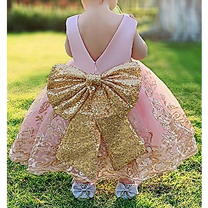 Flower Girl Dress 3-6 M Month Sleeveless Lace Embroidery Special Occasion Dress Ruffles Wedding Birthday Dresses Dressy Up Fancy Tulle Tutu Ball Gown for Infant Party Knee Sundress (8557Pink, 60)