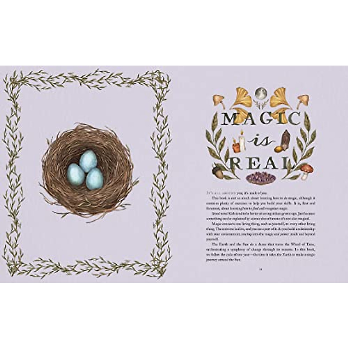 The Wheel of the Year: An Illustrated Guide to Nature's Rhythms