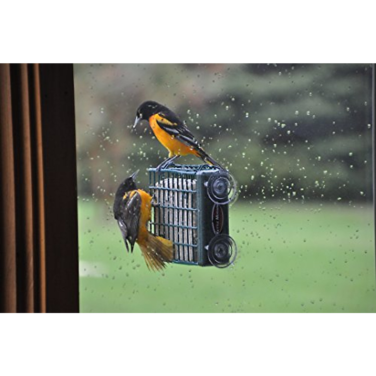 Kettle Moraine Window Mount Single Suet Cake Woodpecker Bird Feeder