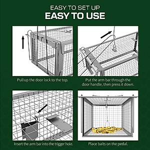 Humane Squirell Trap, Chipmunk and Rat Trap Cages That Works, Humane Mouse Trap for Home | Catch and Release | Reusable and Durable | No Kill Animal Trap | for Inside Home and Outdoor Use