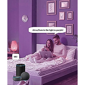 Luntak Smart Small Light Bulbs That Work with Alexa Google Home Echo&SiriShortcut ,Color Changing Light Bulb WiFi-Bluetooth Chandelier Led Light Candelabra E12 Led Bulbs B11/B10 35w Equivalent 3Pack