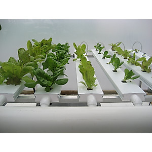 CropKing NFT 4-6 Hydroponic Leafy Greens Growing System