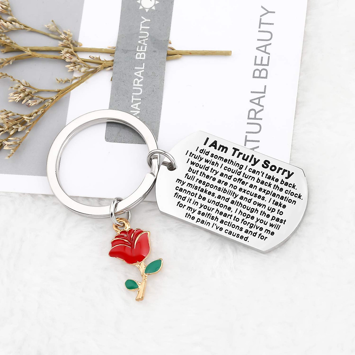 WSNANG Apology Keychain Gift Sorry Jewelry I Am Truly Sorry Gift Idea for Apologizing Forgive Me Gifts (I Am Truly Sorry DT)