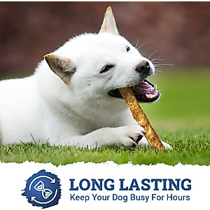 Chew Safe Premium Rolls Dog Chew Treats | Beef | 2-Pack | Two 10" Rolls Per Pack | Rawhide Alternative | Long Lasting, High Protein, Highly Digestible for Small Dogs, for Healthy Teeth