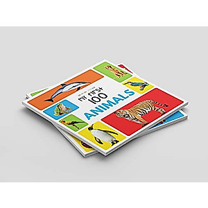 My First 100 Series Boxset