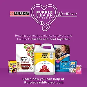 Purina Beggin' Strips With Real Meat Dog Training Treats With Bacon and Cheese Flavors - 40 oz. Pouch