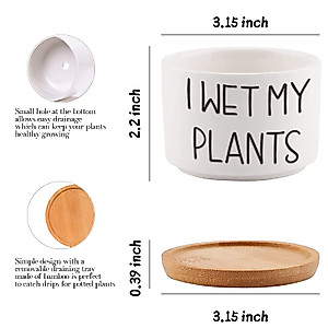 Funny Succulent Pots, 3.15 inch Ceramic Flower Plant Pots with Bamboo Tray, Cute Cactus Planters with Drainage Hole, Birthday Gifts for Women, Plant Lover Gifts, Pack of 3 - Plants Not Included