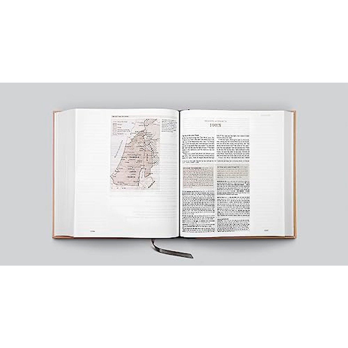 ESV Journaling Study Bible (Cloth over Board, Blush/Ochre, Floral Design)