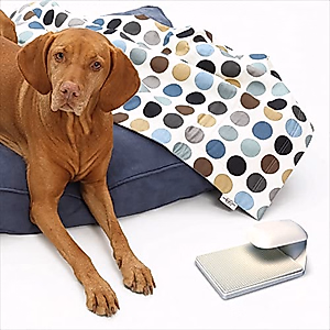 Enoz Trap-N-Kill Indoor Flea Trap with Lightbulb and Sticky Capture Pad, Nontoxic, Made in USA