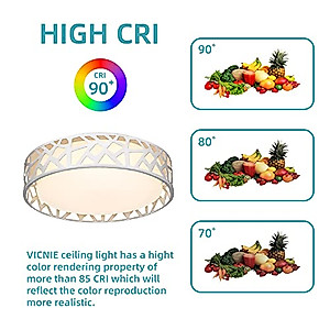 VICNIE Flush Mount Light Fixture, 12 inch 15W 1100 Lumens LED Ceiling Lights, Dimmable 3000K Warm White, ETL Listed for Kitchen, Hallway, Bedroom, Stairways (Metal Body and Acrylic Shade)