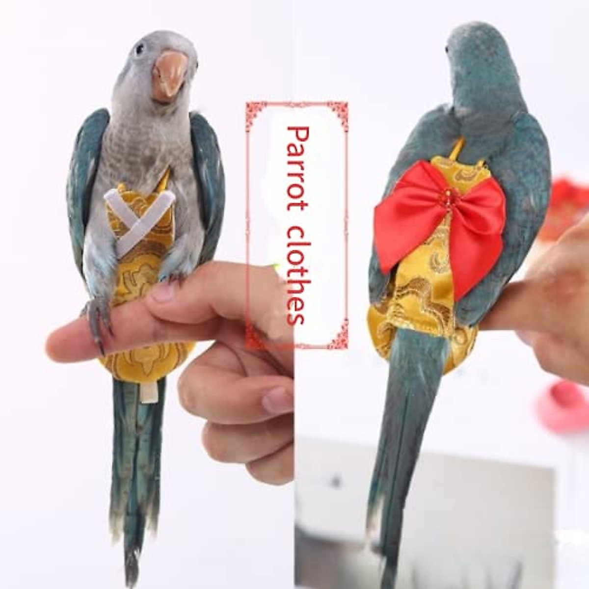 Bird Flight Suits Diapers, Parrot Flight Suits Diapers for Rosellas, Cockatiels Flight Suits, Parrot Clothes, Bird Training Nappy Suit Liners Clothes (Medium)