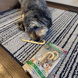 Fieldcrest Farms Nothin' to Hide Mini Holiday Candy Cane Chicken Flavor Dog Chews, Rawhide-Free, Easily Digestible, Long-Lasting, All-Natural Treats for Moderate Chewers up to 15lbs, 6-Ct