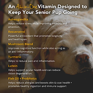 iHeartDogs Senior Super 7 Daily Dog Multivitamin - 7-in-1 Vitamin for Dogs Supports Anti-Aging with Antioxidants, Probiotics, Lion's Mane, Turkey Tail, & Ashwagandha for Longevity & Cognitive Boost