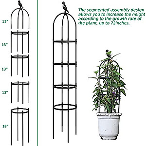 Anothera 6ft Rustproof Metal Pipe with Heavy Duty Plastic Coated, Garden Outdoor Indoor Potted Plant Support, Round Obelisk Trellis for Climbing Vine（Black）