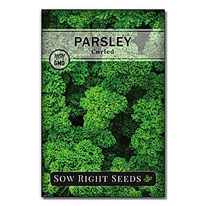Sow Right Seeds - Flat Leaf and Curly Leaf Parsley Seed Collection for Planting - Non-GMO Heirloom - Instructions to Grow a Kitchen Herb Garden, Indoor or Outdoor - Great Gardening Gift