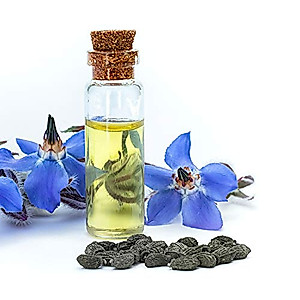 Outsidepride Borago Officinalis Borage Herb Garden Flowering Plants Great for Bee Pollination - 1 OZ