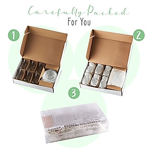 BullyBae Turkish Tea Glasses and Saucers Set (12 Pieces), Arabic Persian Tea Cups (4oz/120ml)