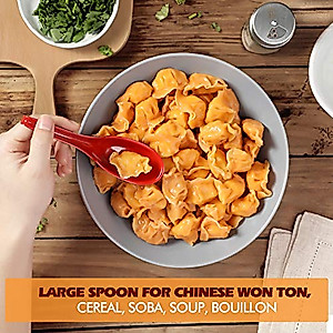 12 PACK Asian Soup Spoons, Rice Spoons, Melamine Chinese Won Ton Soup Spoon For soba, pho, ramen, Noodle, Korean Style Large Spoon with Long Handle- Notch and Hook Style, Red ＆ Black