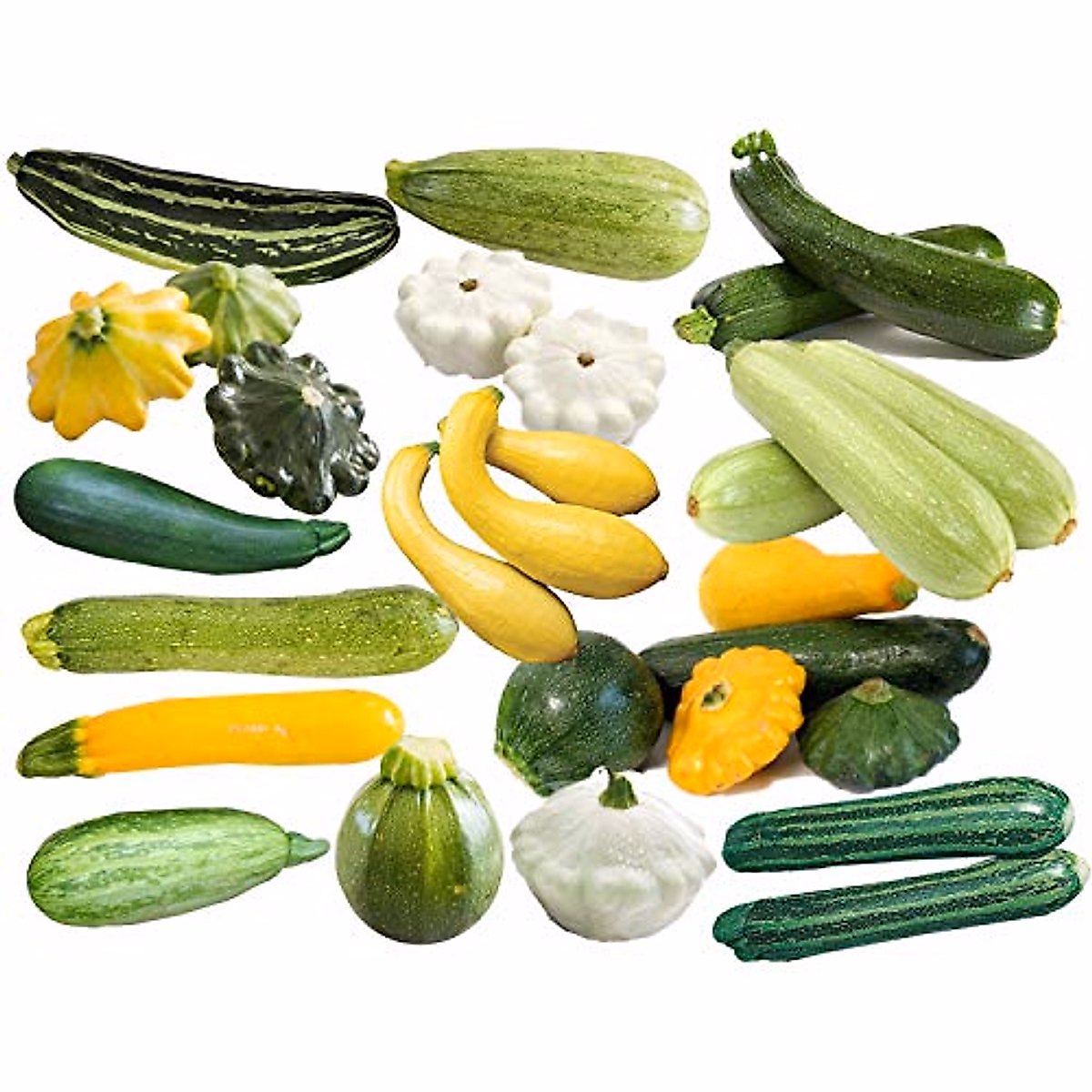 This is a Mix!!! 50+ Zucchini and Squash Mix Seeds 12 Varieties Non-GMO Delicious Grown in USA. Rare Super Profilic