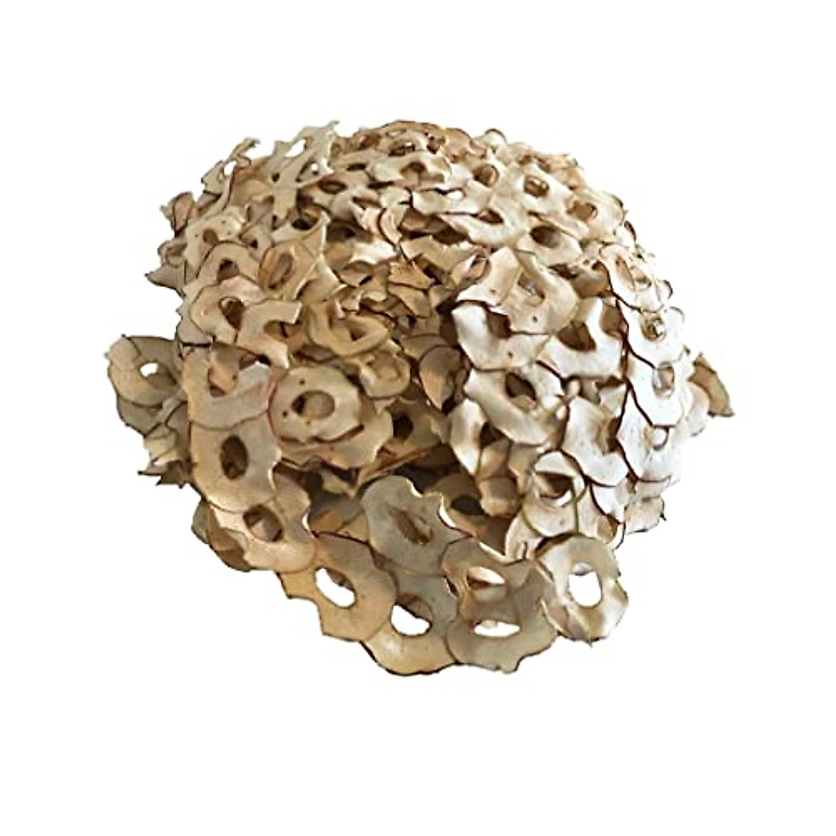 Jumbo Size Apple Slice Treats for Pets