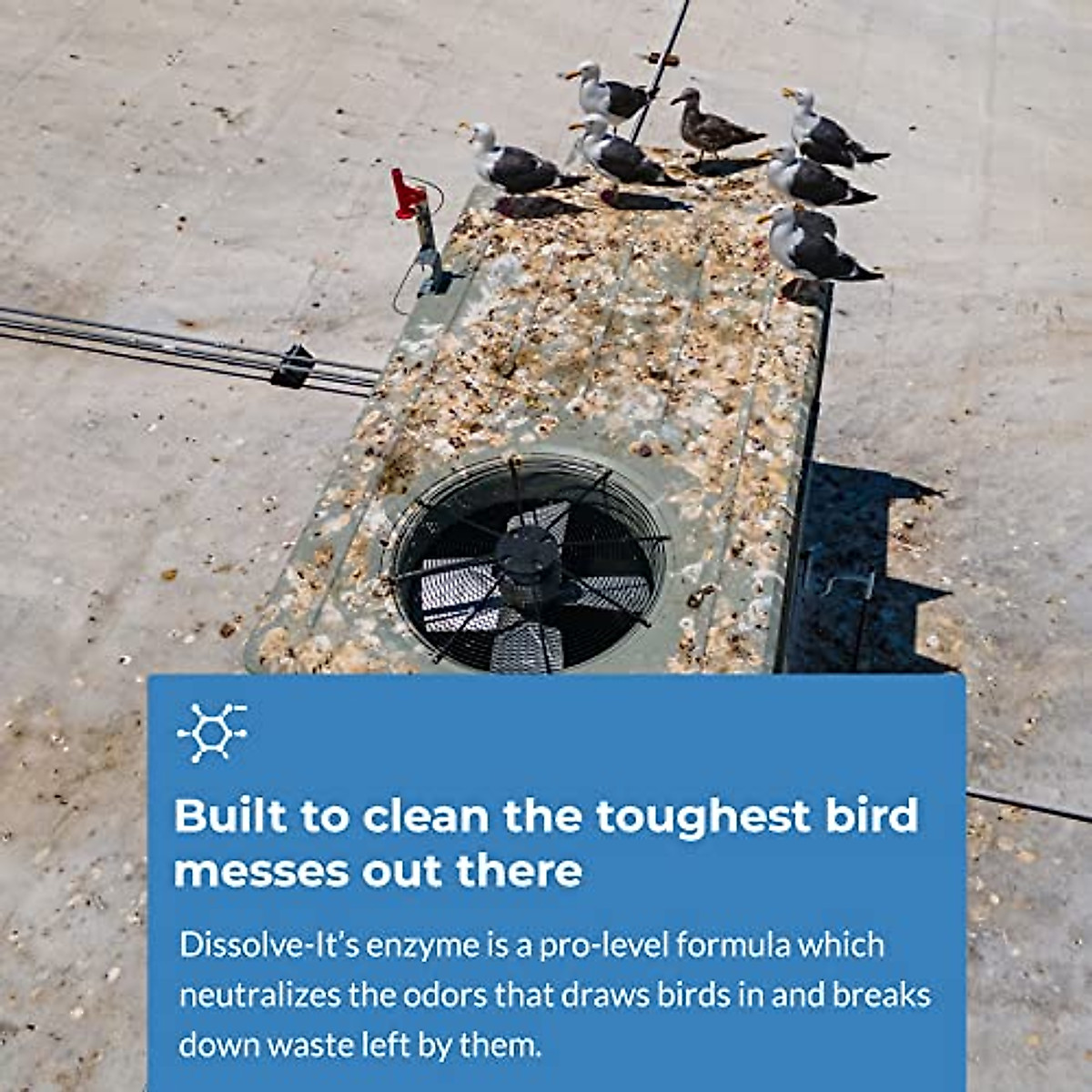 Bird Barrier Dissolve-It Max Enzyme Cleaner - Mix with Water – Bird Dropping Cleaner - Dissolves Waste – Treat Affected Areas Before Installing Bird Control Products - Bird Cage Cleaner - 1 Pint Makes 1/2 Gallon