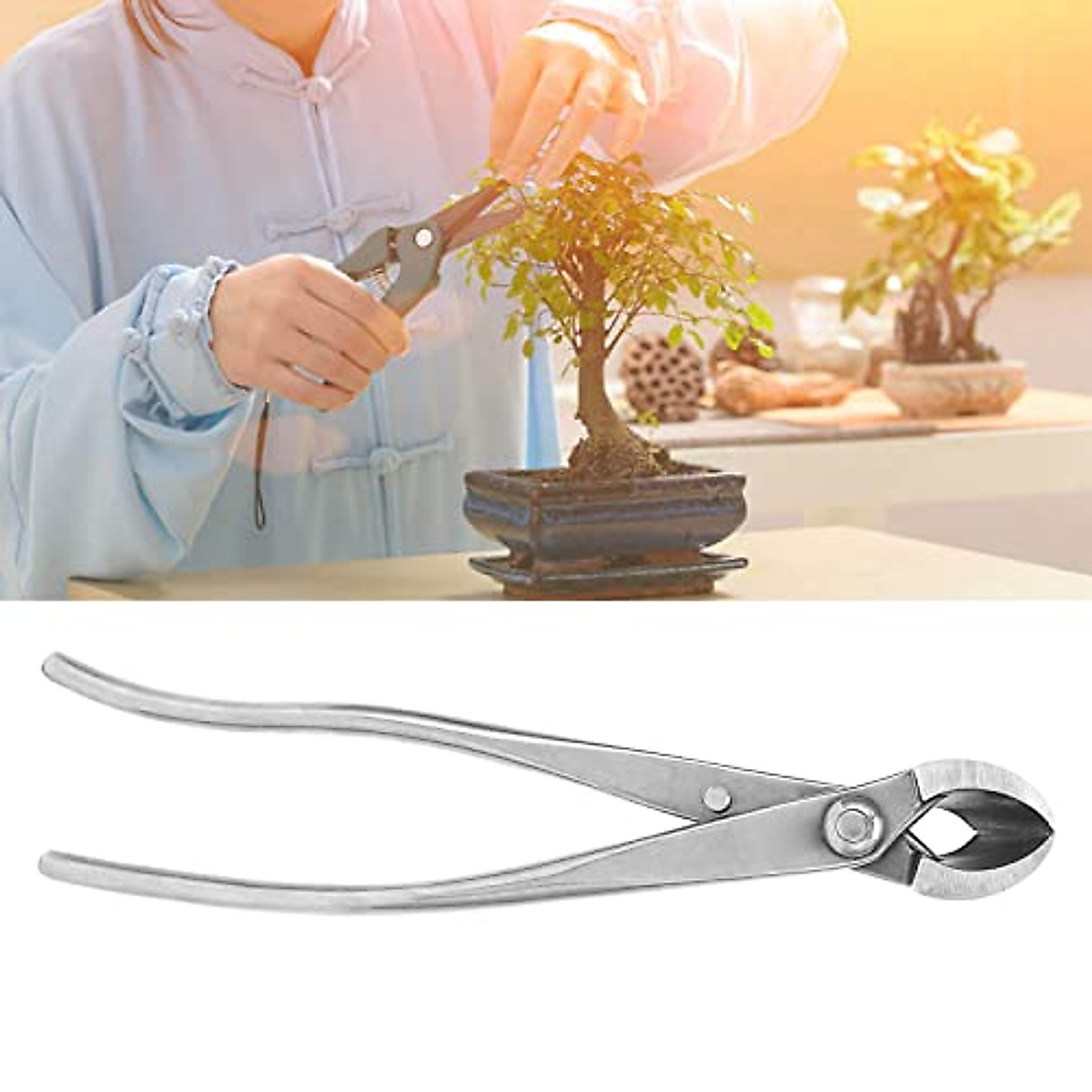 Socobeta Concave Root Cutter, Abrasion Resistant Bonsai Cutters Stainless Steel High Hardness Professional 21cm/8.27in Effective Rustproof for Gardening Tool