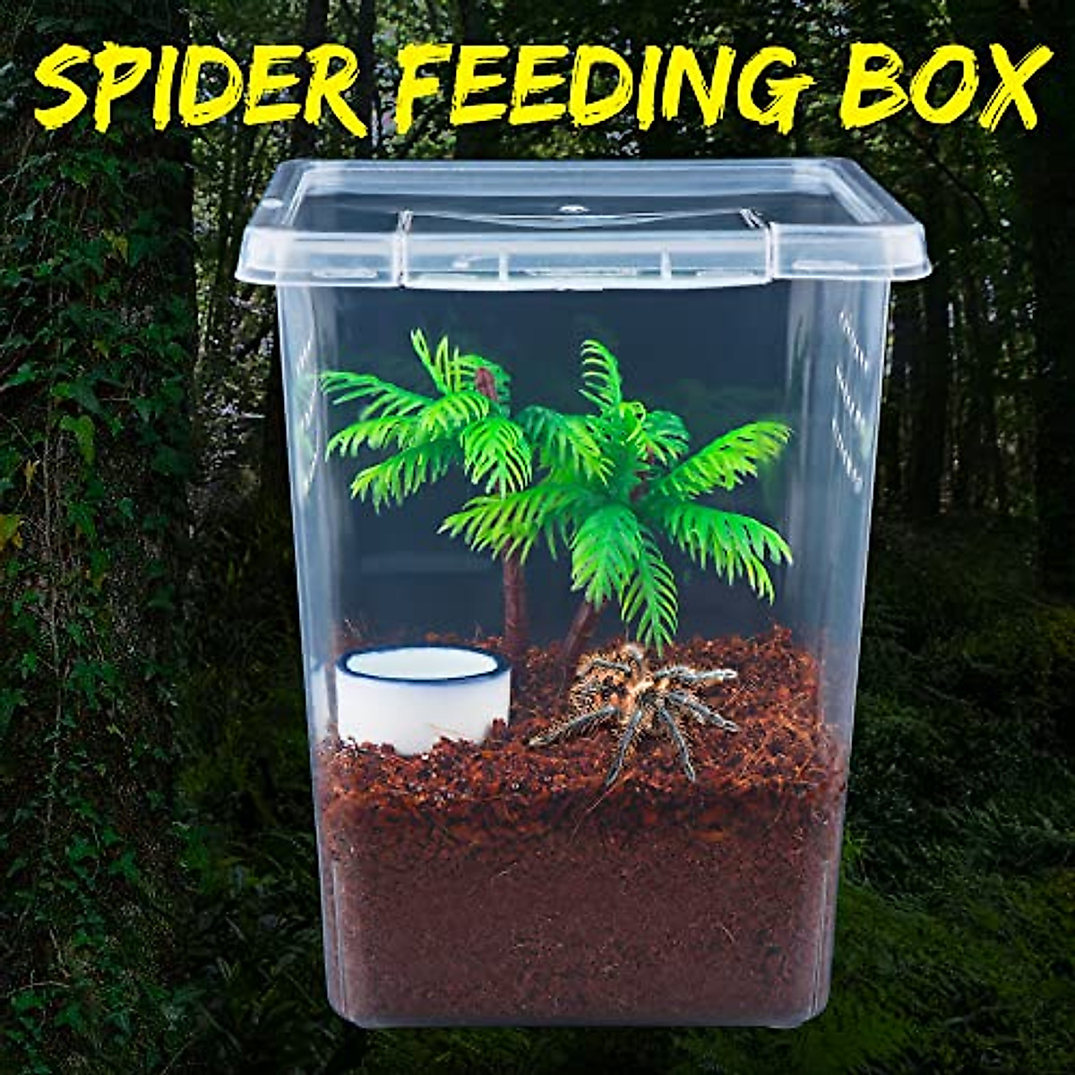 5 Pack Spider Terrariums Breeding Box Insect Hatching Container Acrylic Breeding Box for Arboreal Spider Tarantula Mantis Scorpion Centipede Small Reptiles