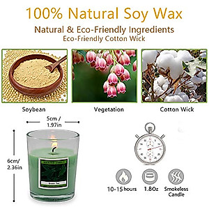 12 Packs Scented Aromatherapy Candle Set, 1.8 Oz Soy Votive Candle for Home Decoration, Candle Gifts for Christmas Thanksgiving and Anniversary