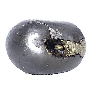 Rudrakshguru Laxmi Narsimha Shaligram