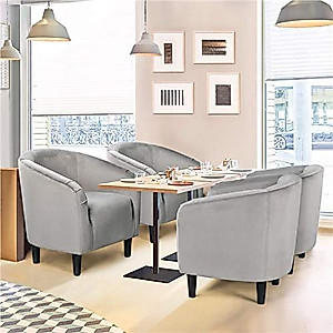 Topeakmart Velvet Accent Chair, Comfy and Modern Velvet Club Chair with Armrest and Sturdy Legs for Living Room/Bedroom Study, Set of 2, Grey