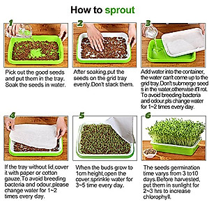 LeJoy Garden Seed Sprouter Tray BPA Free PP Soil-Free Big Capacity Healthy Wheatgrass Grower with Lid Sprouting Kit 13.4x9.84x4.72 inches(LxWxH)