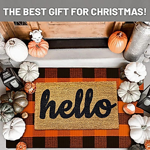 IOHOUZE Cotton Buffalo Plaid Check Rug Outdoor Doormat 27.5 x 43 Inches Washable Woven Outdoor Indoor Welcome Mats for Front Door/Farmhouse/Entryway/Home Entrance Black and Orange Outdoor Rug