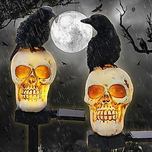 Retisee 2 Pcs Skull Halloween Lights Crow on Skull Solar Pathway Lights Outdoor Decorations Waterproof Scary Skeleton LED Lights for Patio Lawn Yard Garden Home,2 Styles