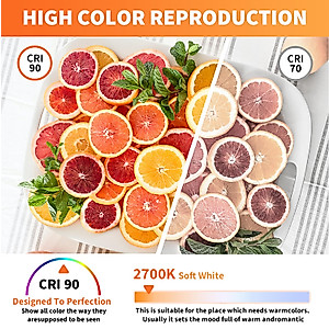 ALAMPEVER Large Globe LED Light Bulbs, Decorative Dimmable LED with 6W Equivalent to 40W Light Bulbs, 2700K Soft White, E26 Base,400LM,CRI90,G125,Frosted