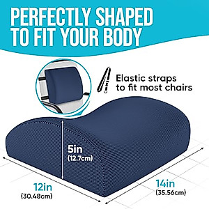 FORTEM Chair Cushion, Seat Cushion for Office Chair, Lumbar Support Pillow for Chair, Car Seat Cushion, Back Support Memory Foam Pillow Washable Cover (Blue, Mesh)
