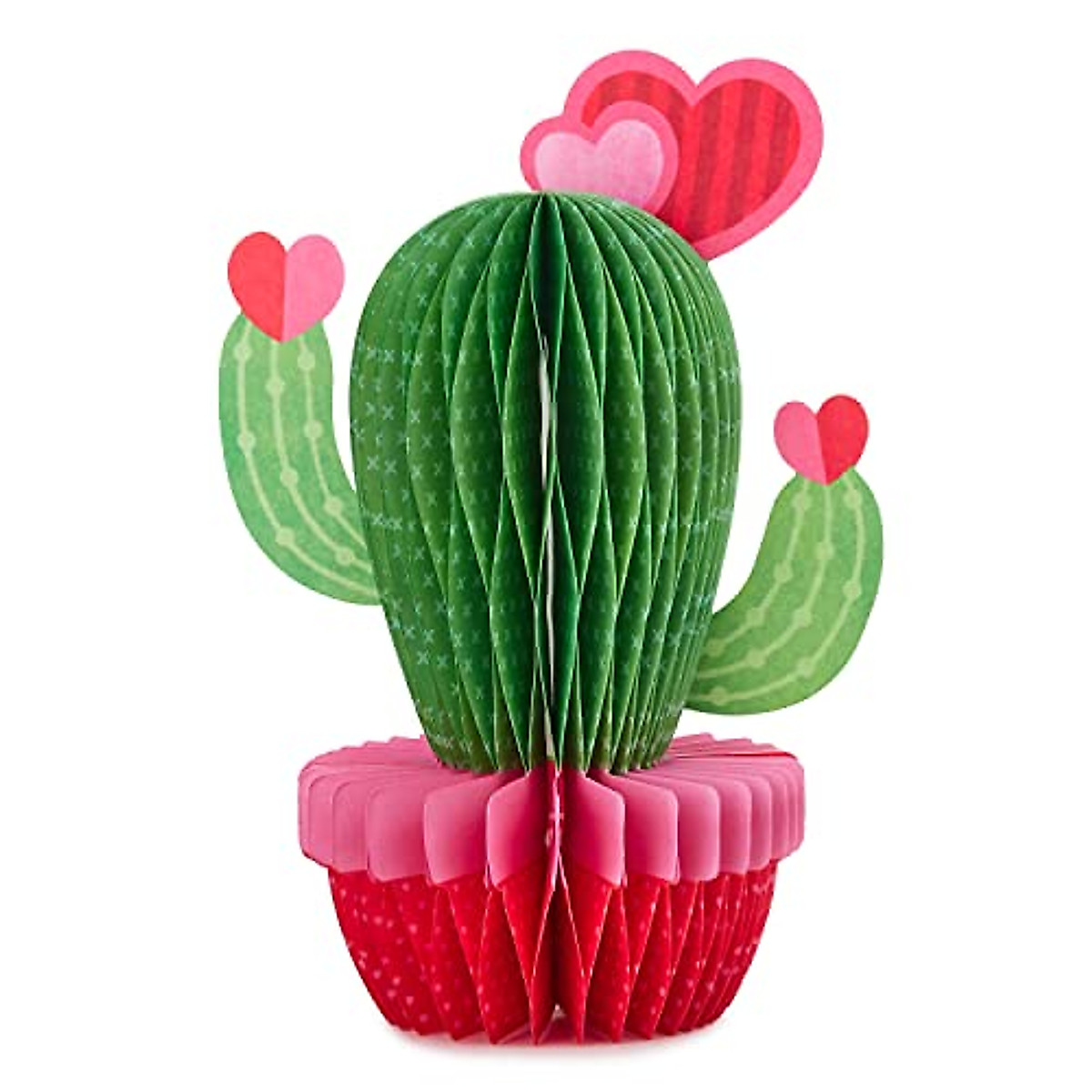 Hallmark Paper Wonder Pop Up Valentines Day Card (Cactus)