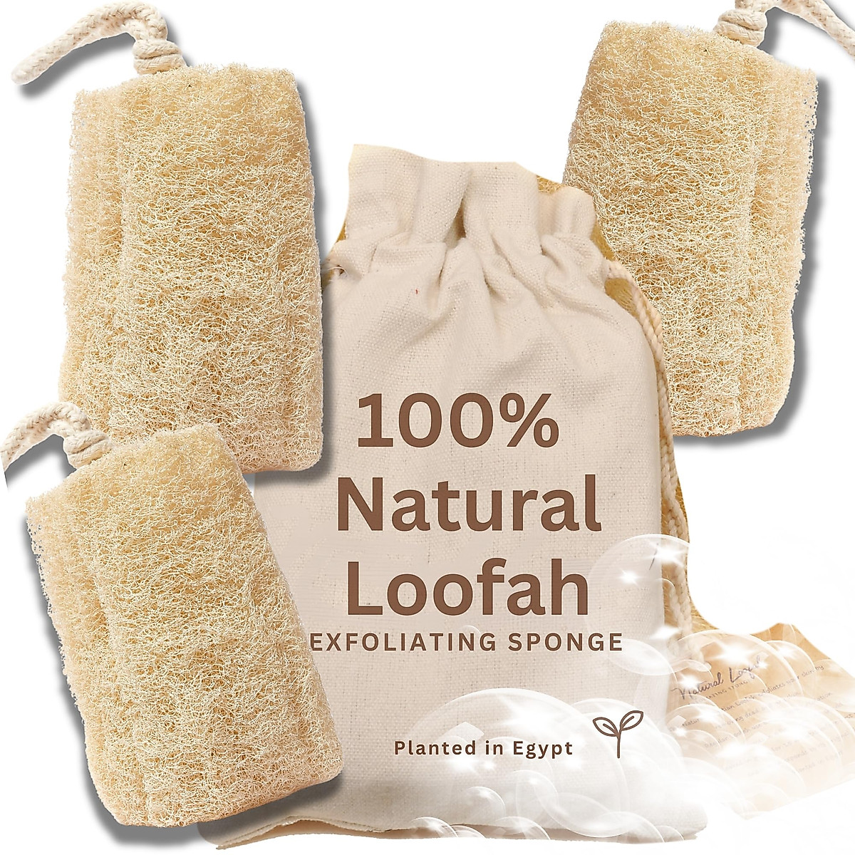 All Natural Loofah Sponge, Pack of 3 Real Egyptian Bath & Shower Exfoliating Loofa Scrubber Sponges for Face, Back & Body, Eco Friendly, No Toxic Chemicals, 6" x 6" by Crafts of Egypt